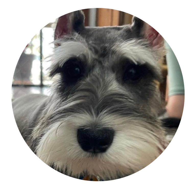 Craig Road Animal Hospital - Full Service Animal Hospital in Las Vegas ...