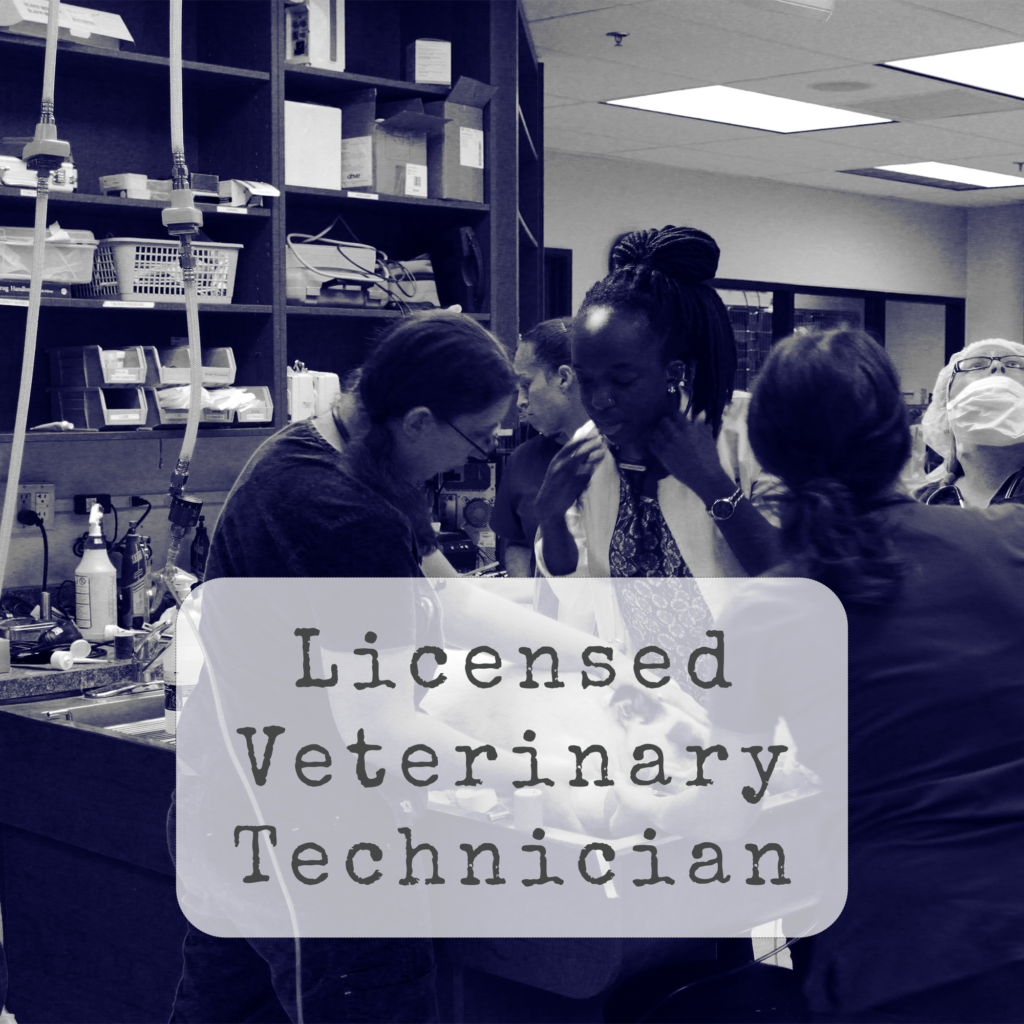 Job Opportunity: Licensed Veterinary Technician (LVT) - Craig Road ...